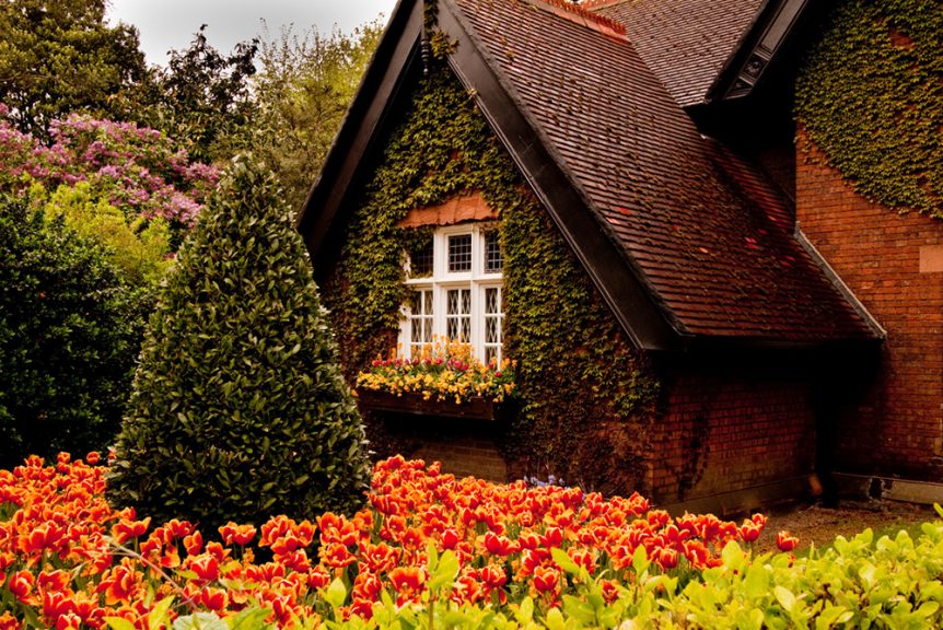 Dablin – grad dvoraca, mostova i Kelta! | Play Travel